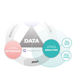 Smart Profile: B2B Insight, Analysis and Activation.