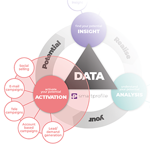 Smart Profile: B2B Insight, Analysis and Activation.